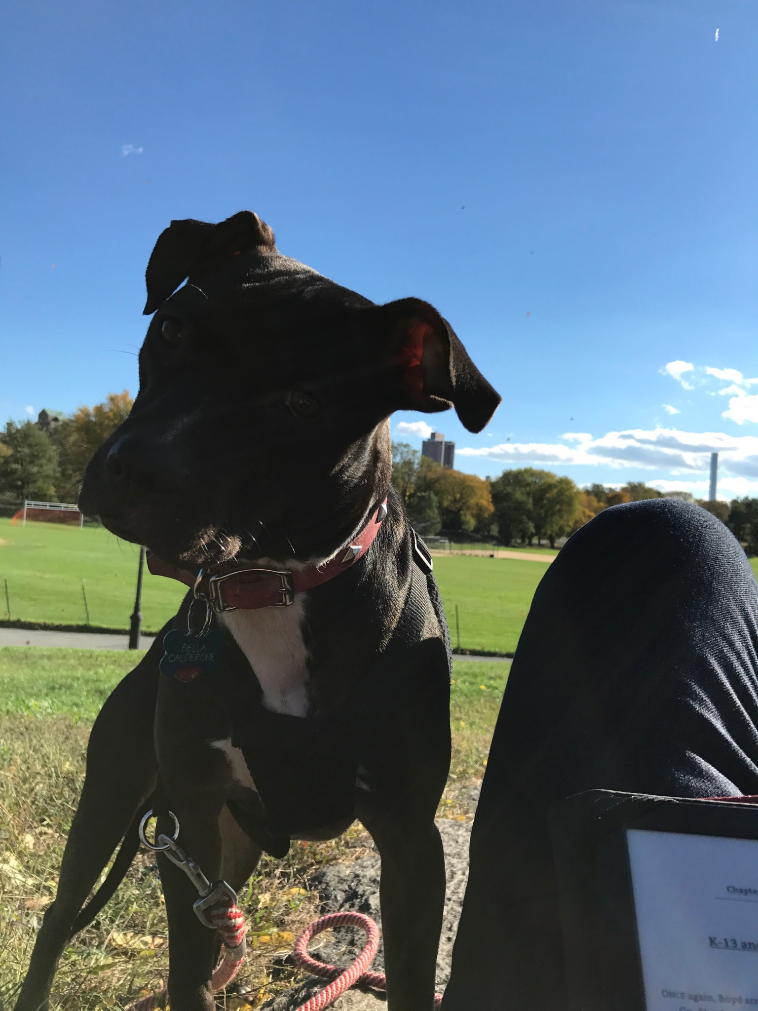 Neighborhoods – Craig Calderone Thoughts